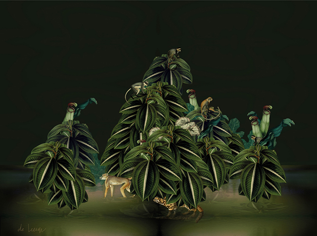 Steffie de Leeuw: A Dutch Artist’s Journey into the Heart of Nature ...