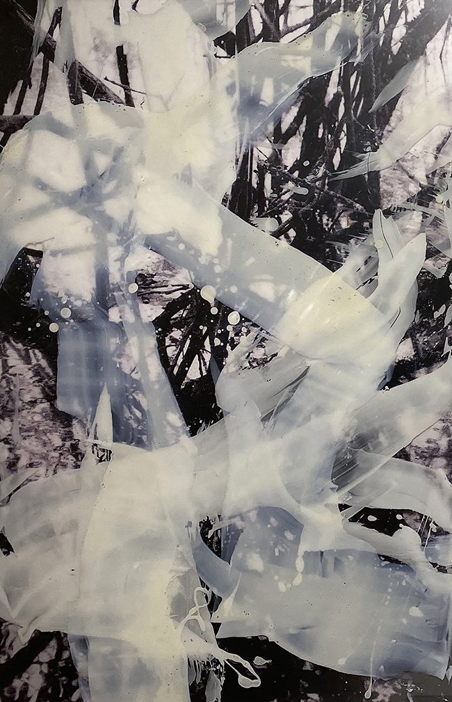 Frank Franzen: Rituals and Reflections on Nature | TheArtWorldPost ...